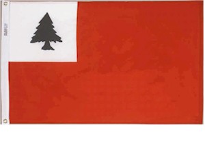 2' X 3' Continental Flag - Nylon